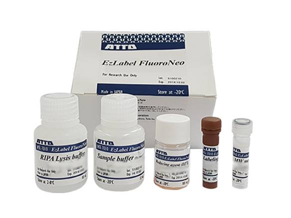 ATTO WSE-7010 EzLabel FluoroNeo-Protein Labeling Kit | ATTO