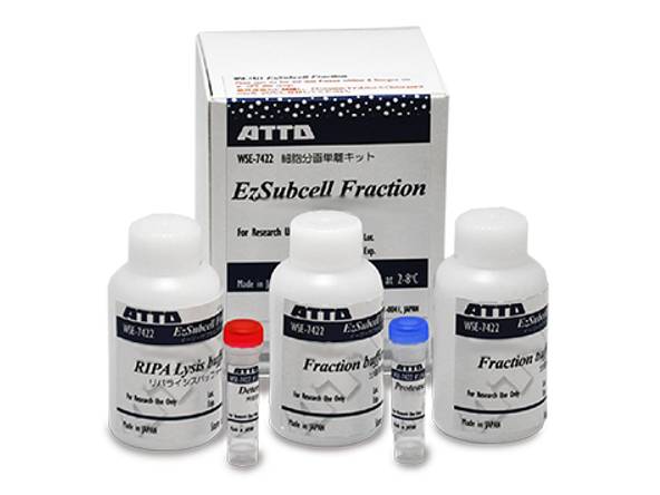 ATTO WSE-7422 EzSubcell Fraction-Organelle Fractions Isolation Kits | ATTO
