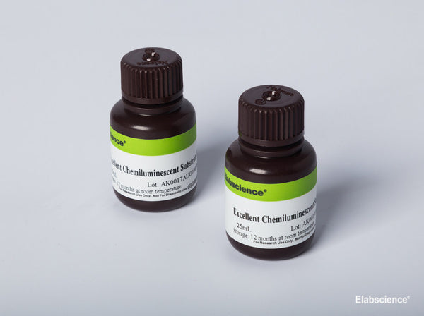 Excellent Chemiluminescent Substrate (ECL) Kit, 250mL | Elabscience ...