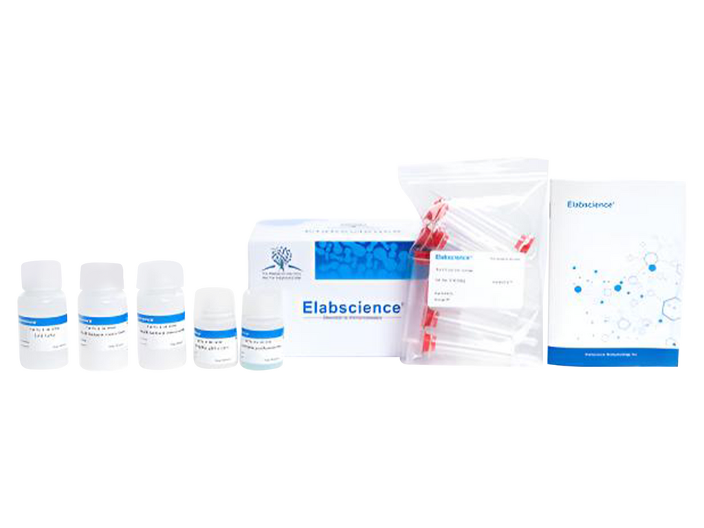 His(HHHHHH)-tagged Protein Purification Kit | Elabscience Biotechnology