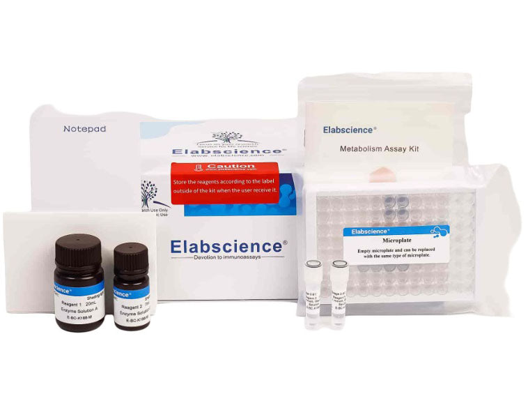 Lipid Peroxide (LPO) Fluorometric Assay Kit | Elabscience Biotechnology