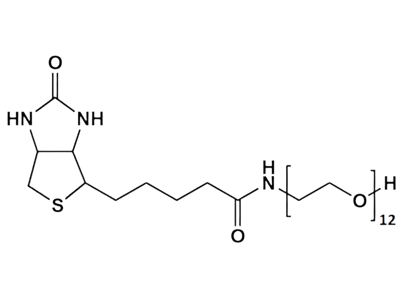 Monodispersed Poly(Ethylene Glycol) from PurePEG:(+)Biotin-PEG12-OH | PurePEG