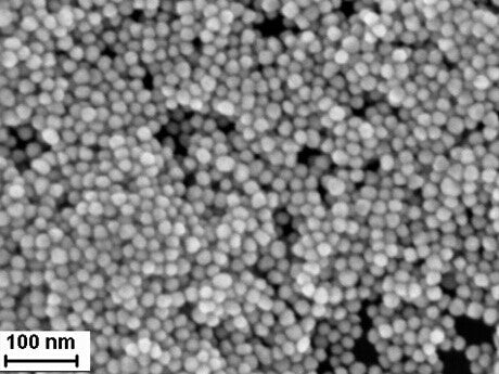 MSE PRO 10 mL PEG-modified Gold (Au) Nanoparticles, 50 μg/mL | MSE Supplies LLC