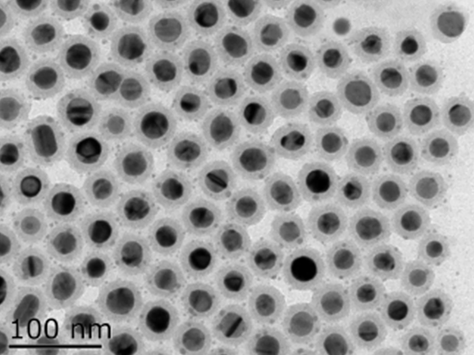 MSE PRO Silica-coated Silver Nanoparticles Ethanol Solution, 0.1mg/mL ...