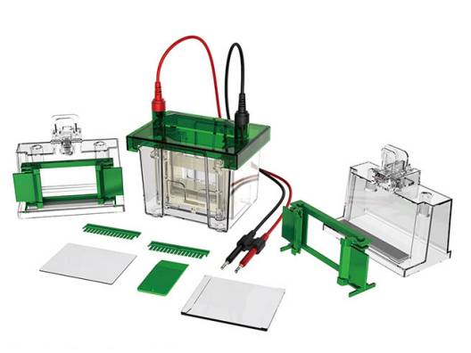MSE PRO 700ml Vertical Electrophoresis Tank Buffer Volume | MSE ...