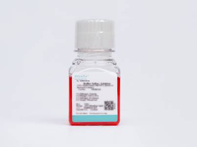 Nanobacteria Removal Complete Medium (RPMI-1640) | Elabscience ...