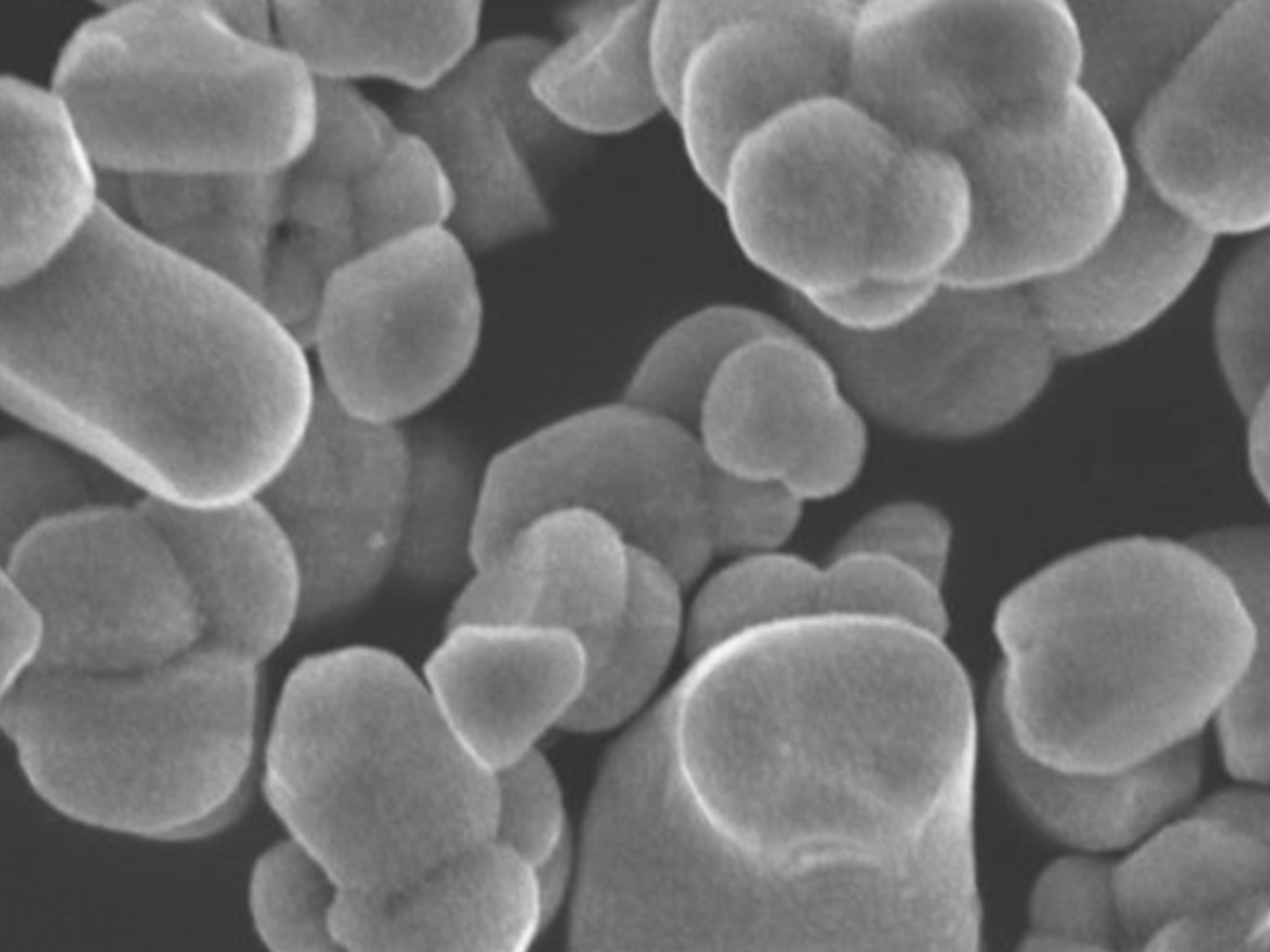 Single Crystal NMC 631 Cathode Powder | LiNi0.6Mn0.3Co0.1O2 – MSE Supplies