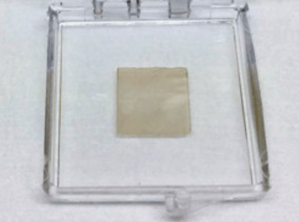 MSE PRO Chemical Vapor Deposition (CVD) Continuous Platinum Diselenide ...