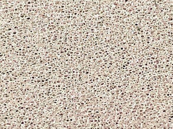 MSE PRO Porous Silver Foam (100 x 100 x 1 mm) for Catalysis and Fuel C ...